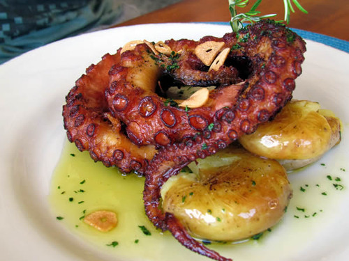 Polvo da Consoada - Receitas na Bimby - Como fazer - Modo de preparação ...