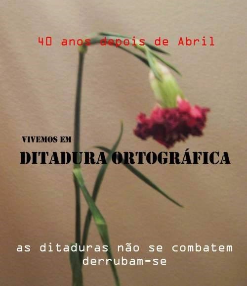 «Toda a lógica instrumental do AO90 é brasileira» - O Lugar da Língua ...