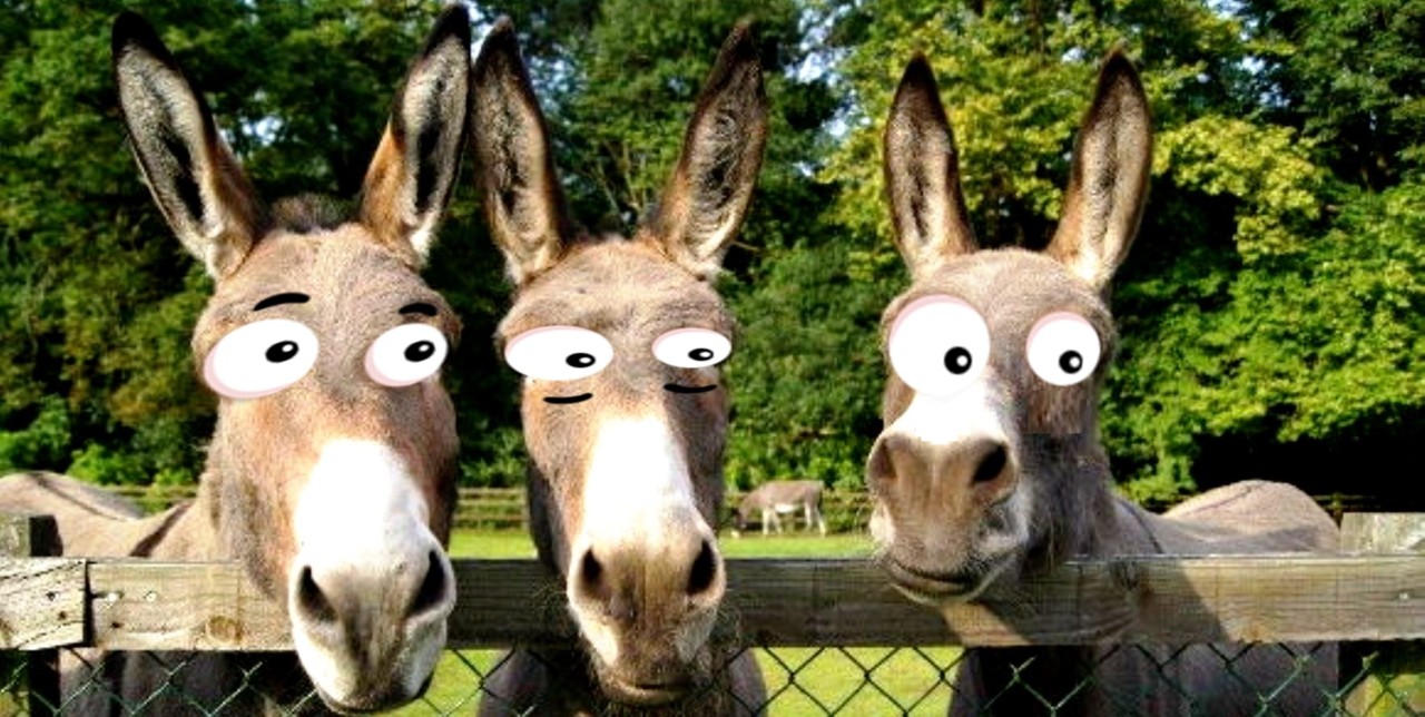 Carta à Berta nº 284: Livro - O diário Secreto do Senhor da Bruma - II ...